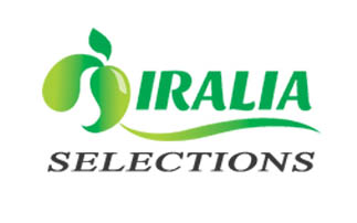 Home - Saffron wholesaler|Dates wholesaler|Sultana Wholesaler ...